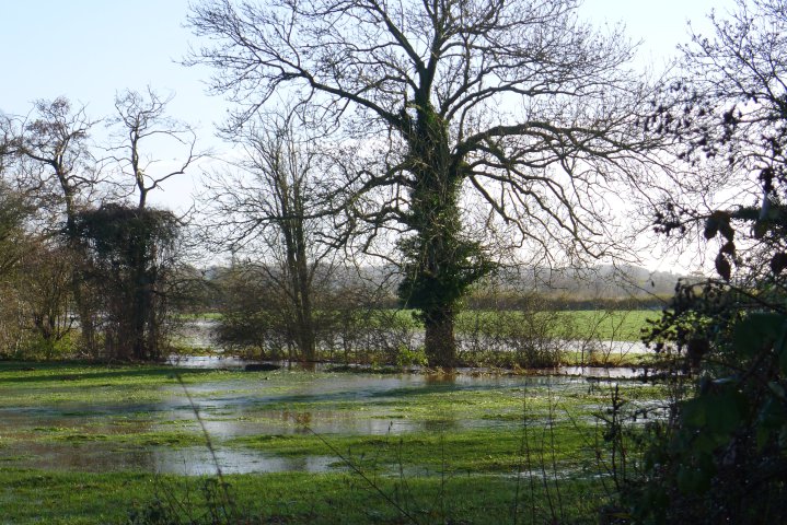 Floods alond the Leadon, 23 November 2012 – Gloucestershire Naturalists ...